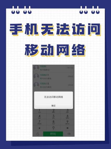 手机为什么无法访问网络无广告正版截图