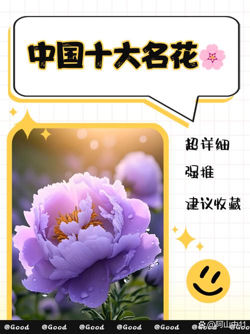 中国最美的十大名花全免版截图