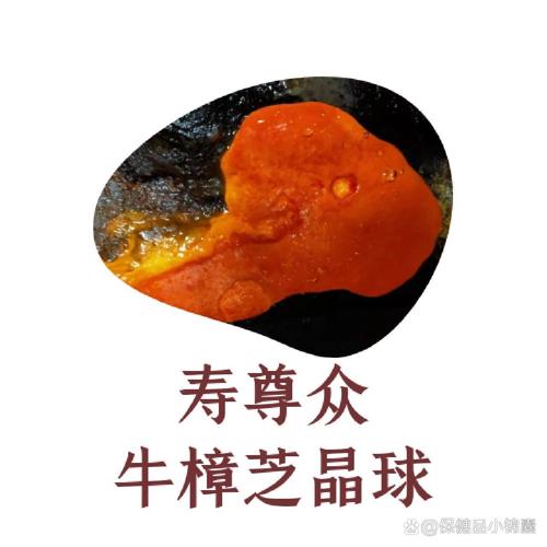 牛樟芝光环加速版图标