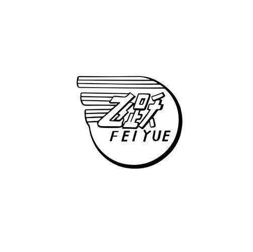 飞跃加速器251截图