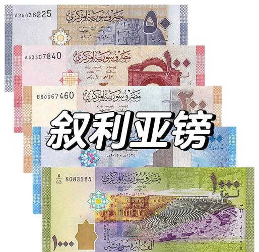 500万叙利亚币能买什么无广告版