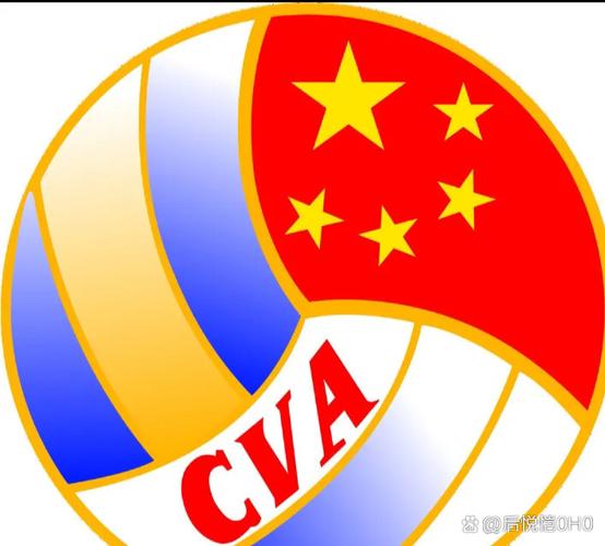 女排联赛录像回放光环加速版截图