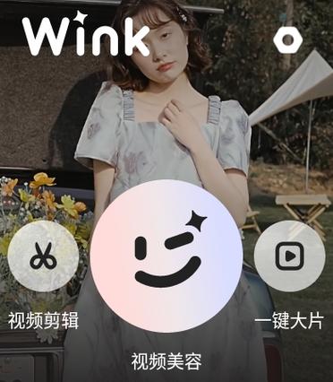 wink下载安卓版污版
