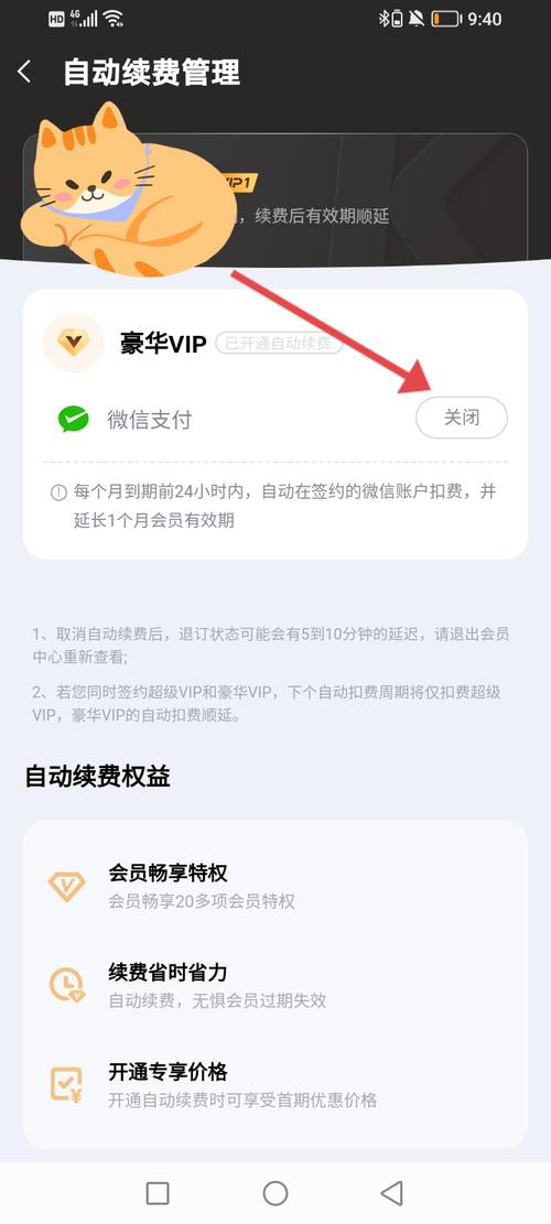 关闭了自动续费怎么重新开启汉化版截图