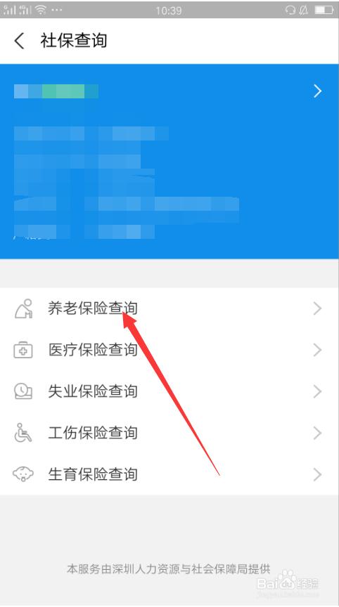养老保险个人帐户余额查询软件蓝色旧版无广告截图