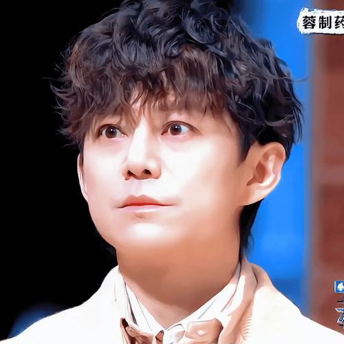 何炅简介个人资料光环加速版截图