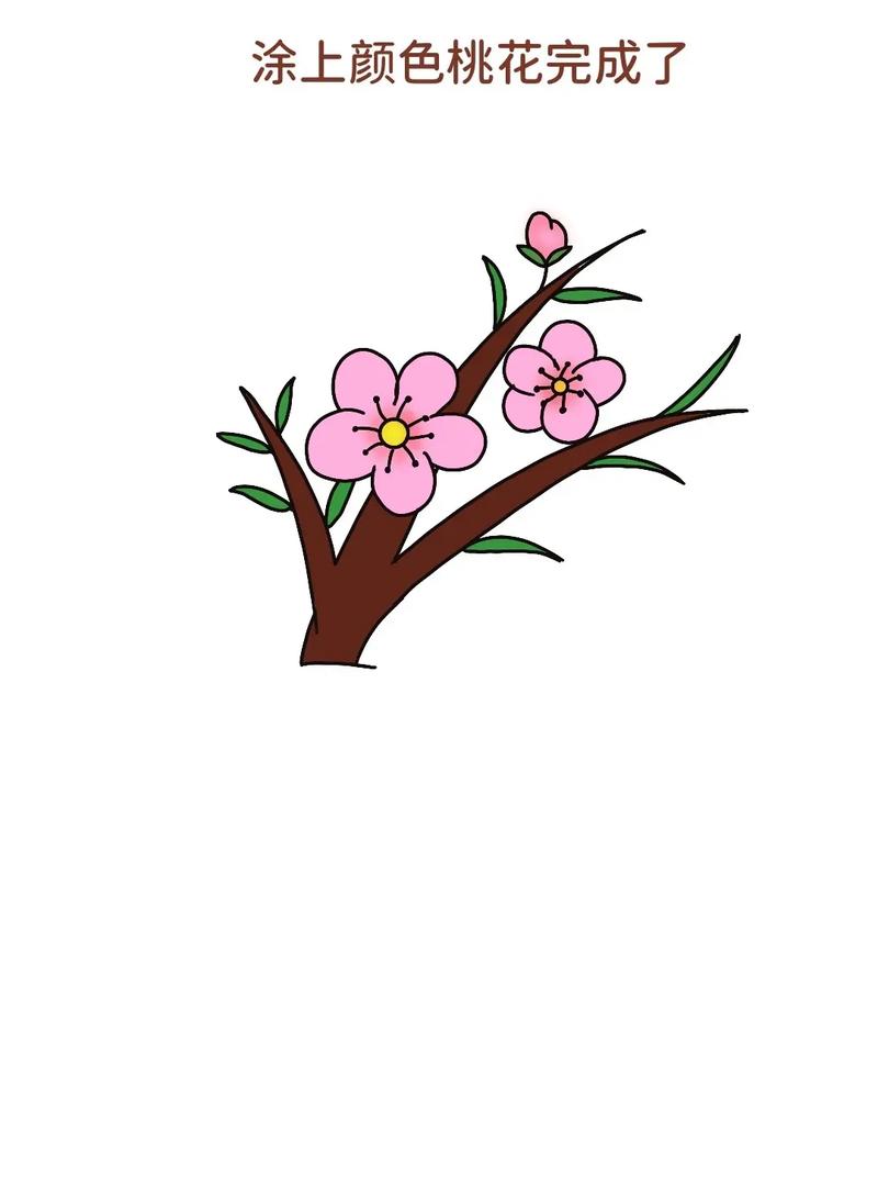 小学生桃花的简单画法加速永久截图