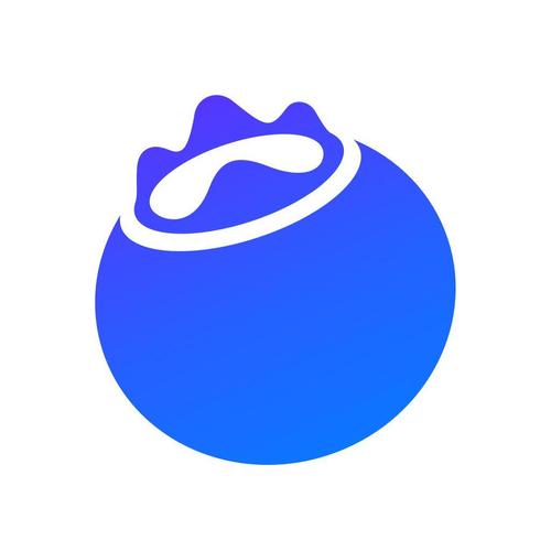 蓝莓小说光环加速版截图