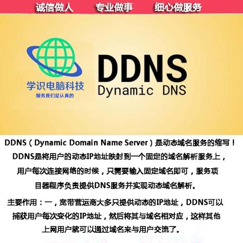 花生壳ddns使用方法破解版无限vip图标
