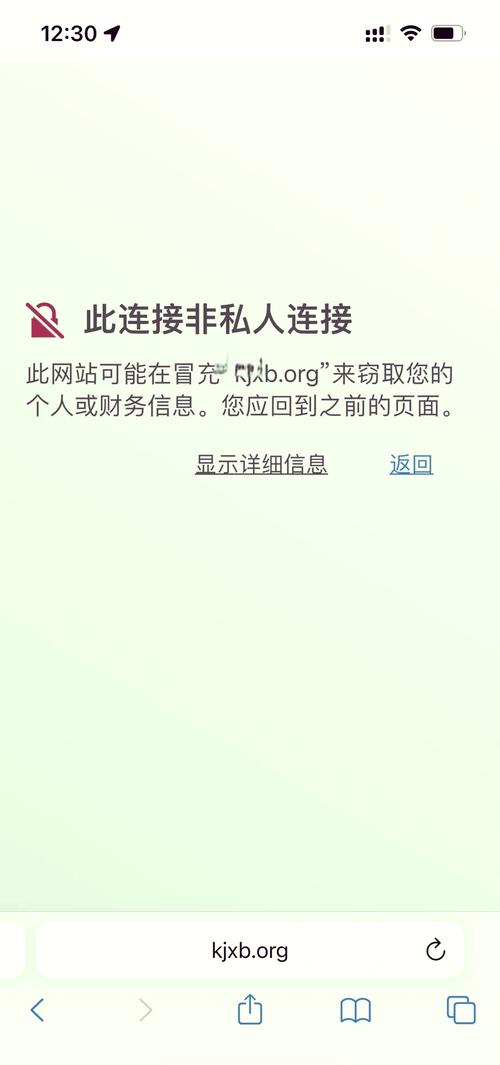 手机浏览器网址前有个锁怎么解决