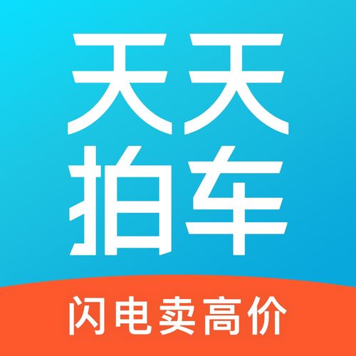 天天拍车二手车平台抢先版图标
