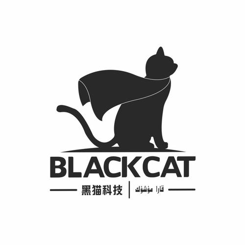 黑猫加速器截图