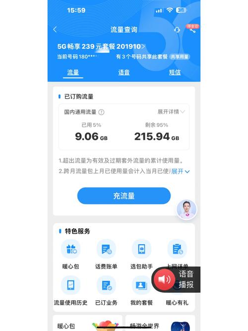 数据流量查询