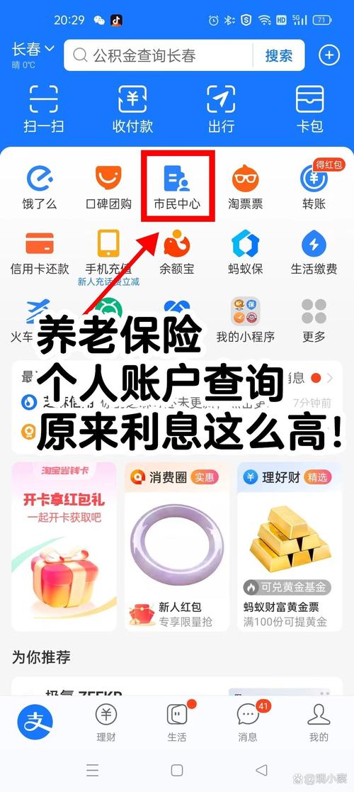 养老保险余额查询