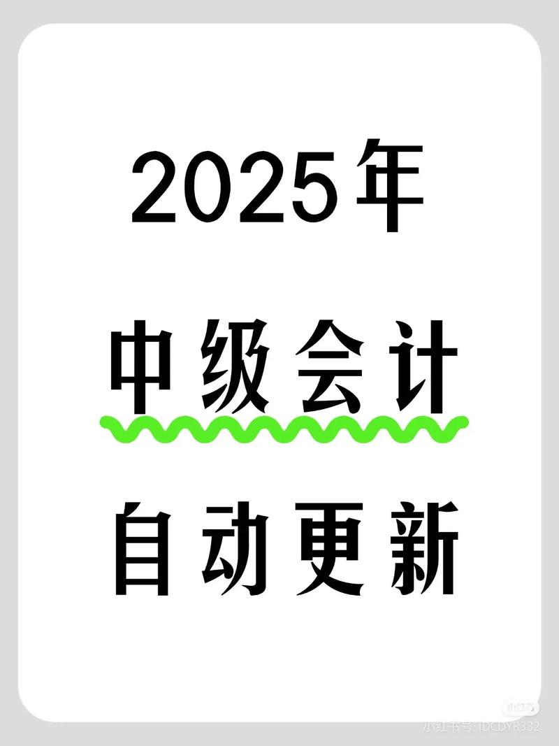 2025中级会计课程网盘无限能量版截图