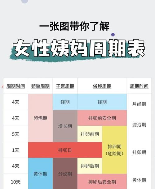 女性月经周期表图片正版