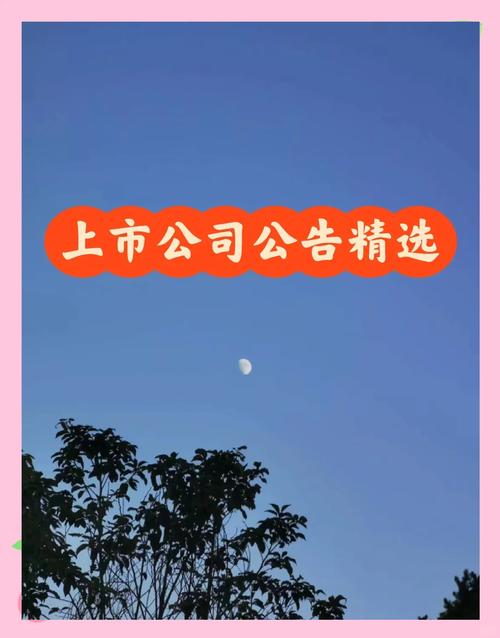 查上市公司公告去哪个网加速永久截图