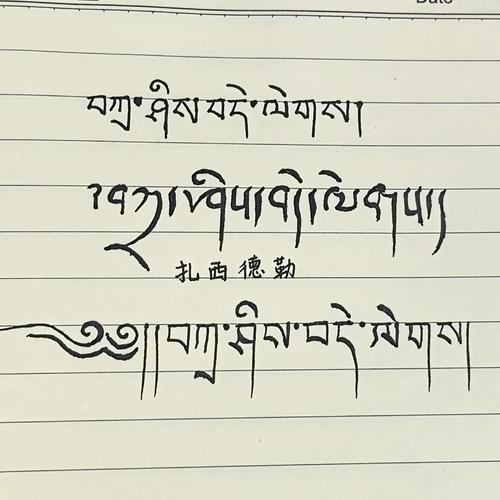 藏文作业一拍秒出答案手机在线观看截图