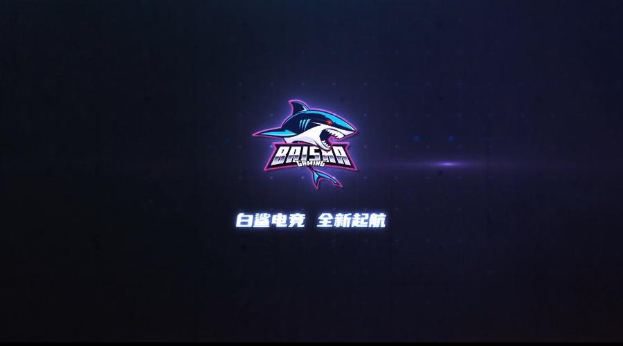 白鲨加速器官网图标