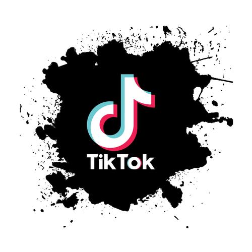 tiktok抖音官网入口图标