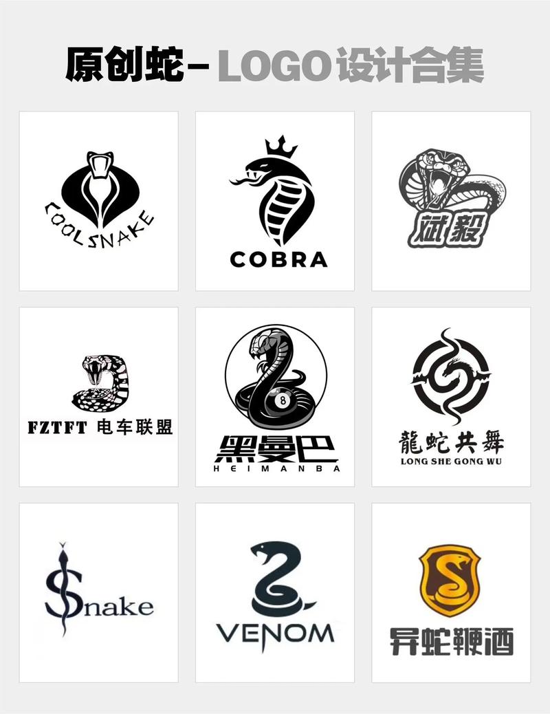 毒蛇加速器安装截图