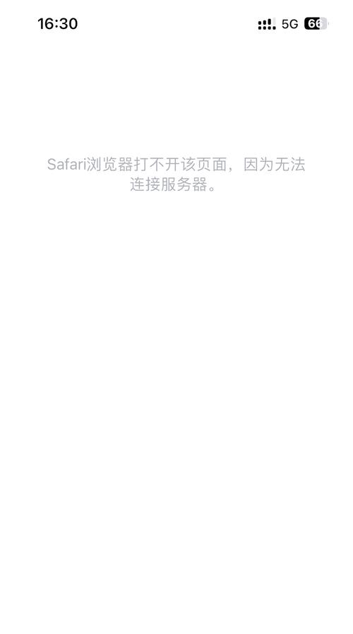 苹果手机浏览器无法打开网页怎么办修改版截图