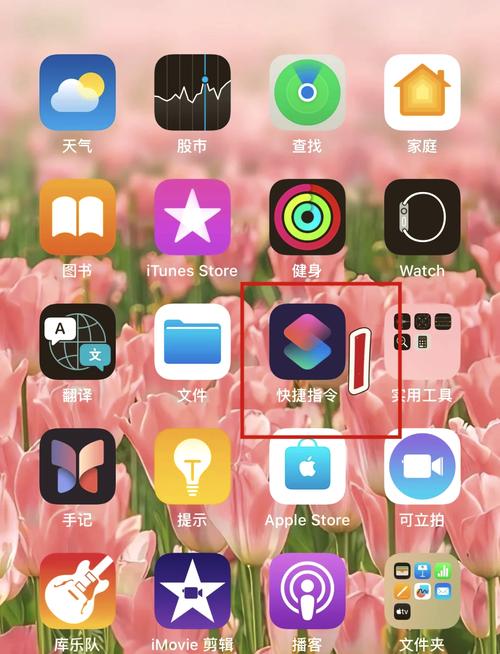 苹果如何加密app软件光环加速版