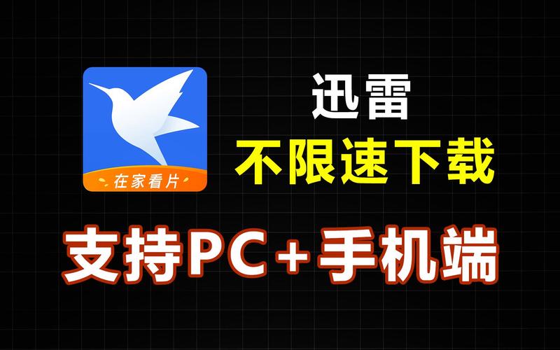 迅雷永不升级版本破解版无限体力图标