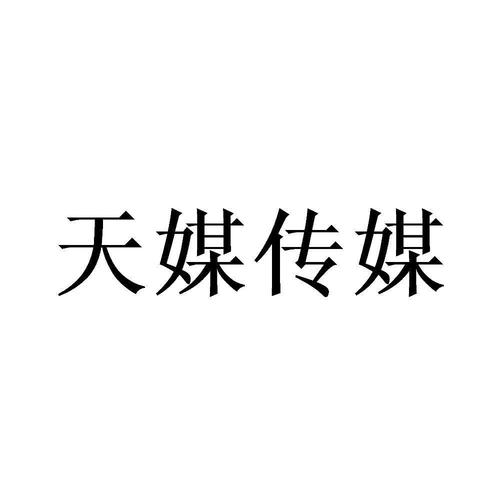 天美传媒有限公司宣传片加速永久