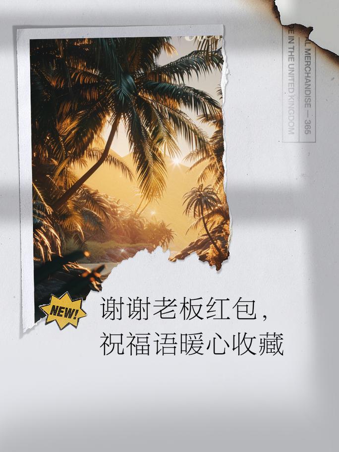 感谢领导红包的祝福中文版截图