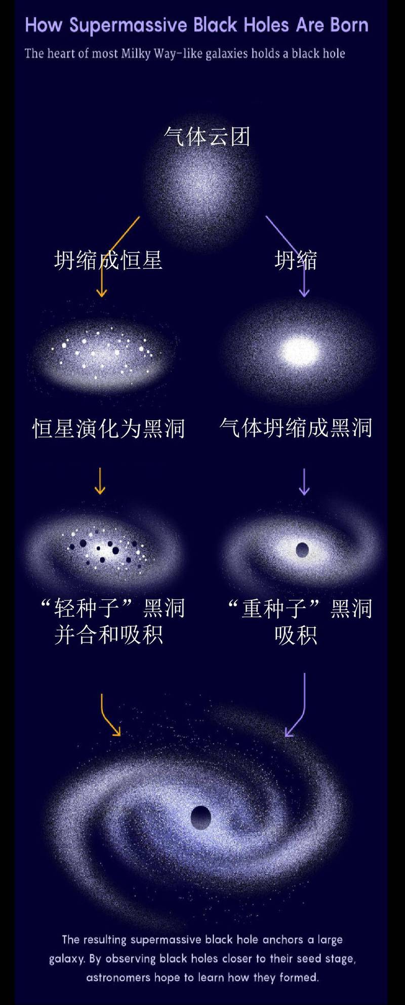 黑洞加速npv官网2024华为版截图