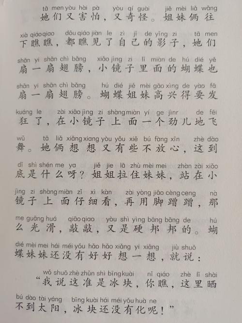 蝴蝶有一面小镜子原文光环加速版截图