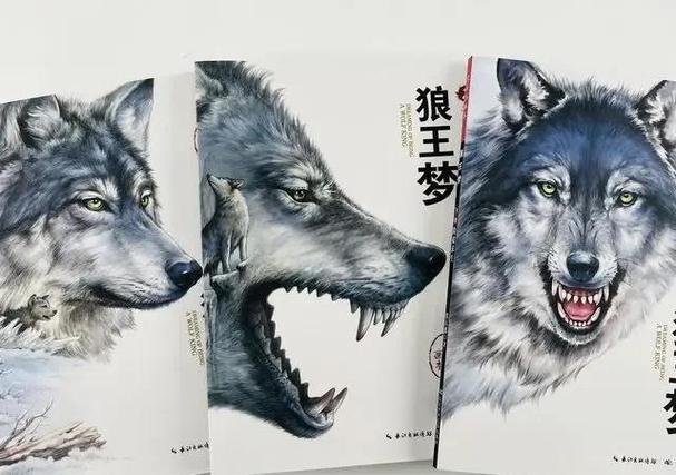 狼王【附授权码】