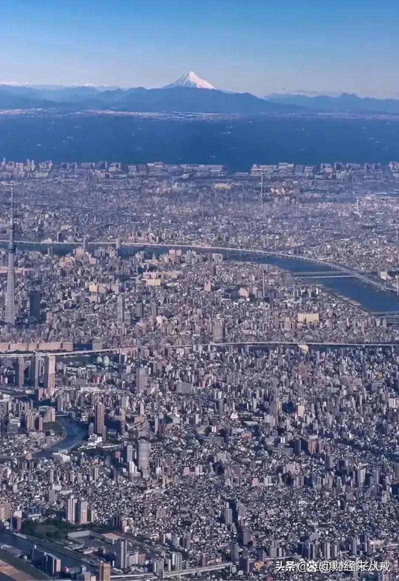 蘑菇影视剧商务旅行日本加速永久