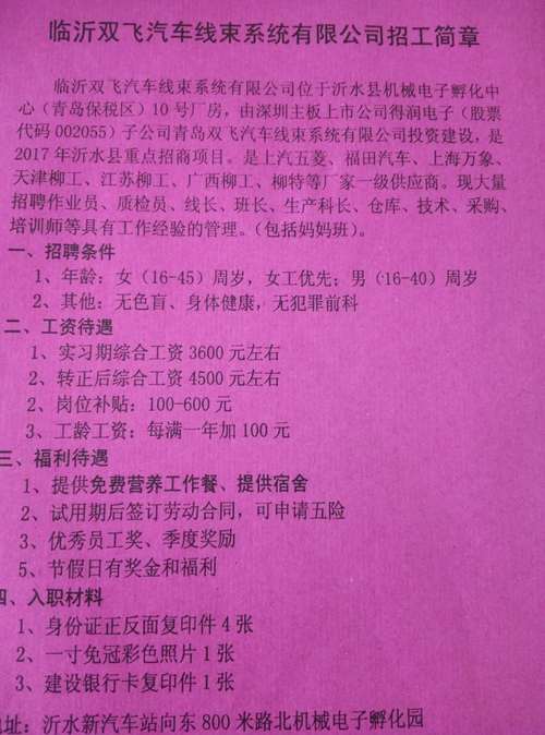 莱芜金点子今天最新招聘信息永久免更新图标