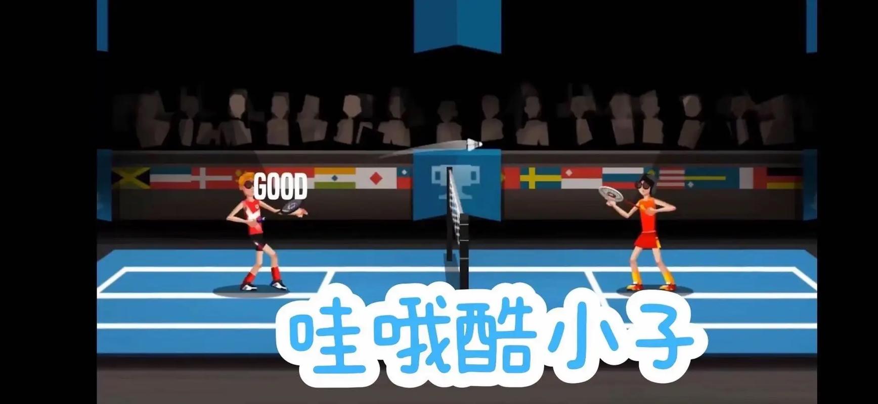 羽毛球助教是干什么的光环加速版