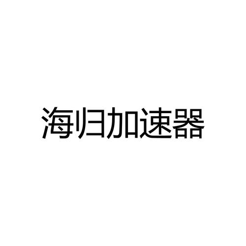 海归加速器10图标