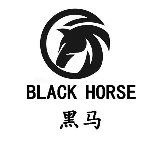黑马购物商城免排队截图