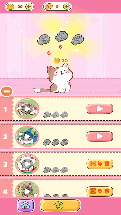 猫咪安装