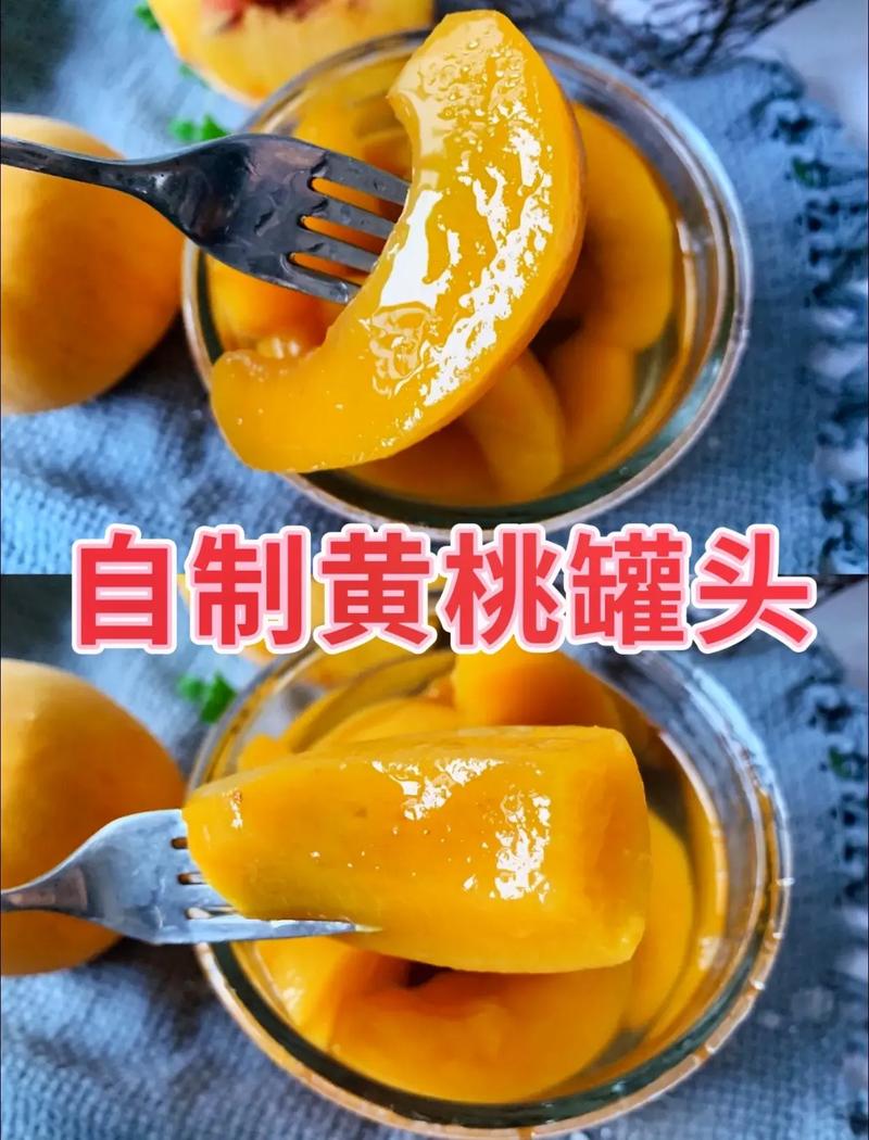 自制的黄桃罐头放了2年光环加速版截图