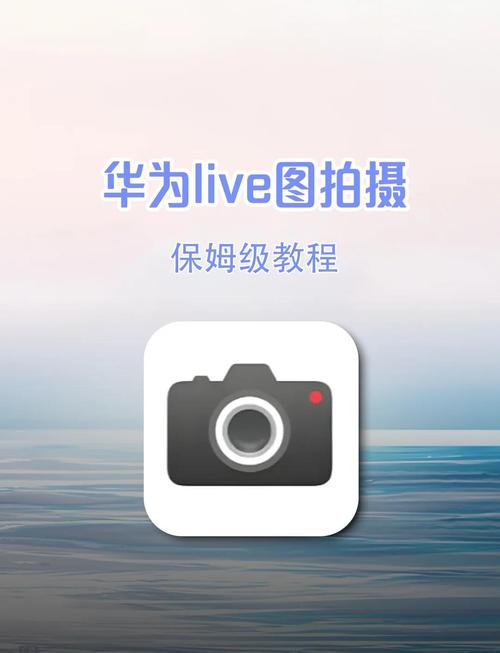 免费拍实况的软件华为版截图