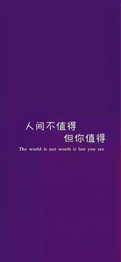 dmiccam官方紫色版