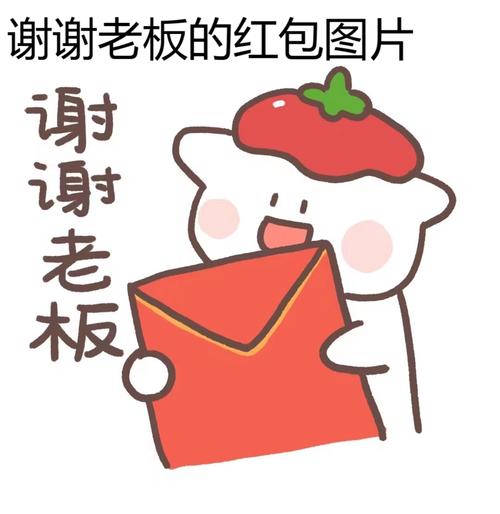 感谢领导红包的祝福精简版截图