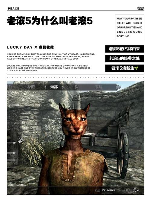 switch老滚5怎么装mod光环加速版截图