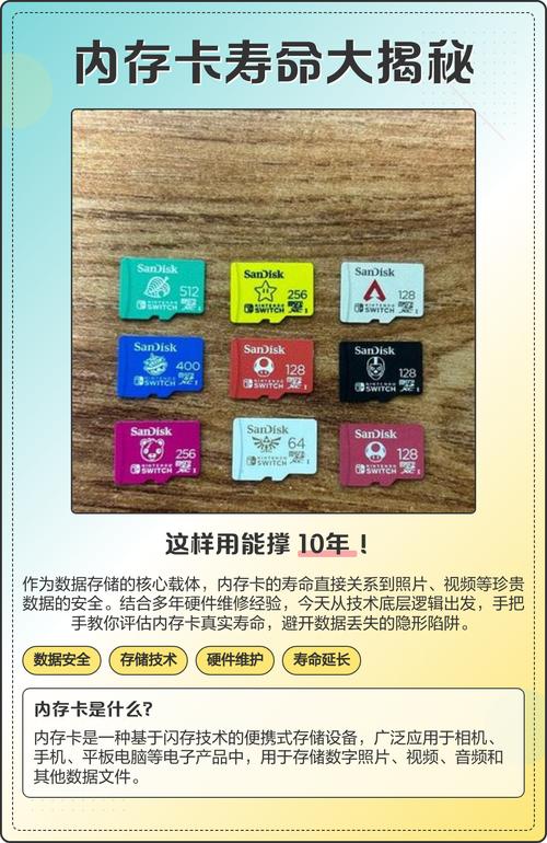 内存卡一般寿命几年截图