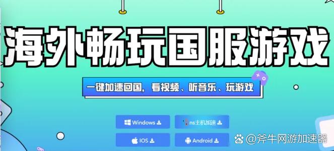斧牛加速器无法加速是什么原因专业版截图