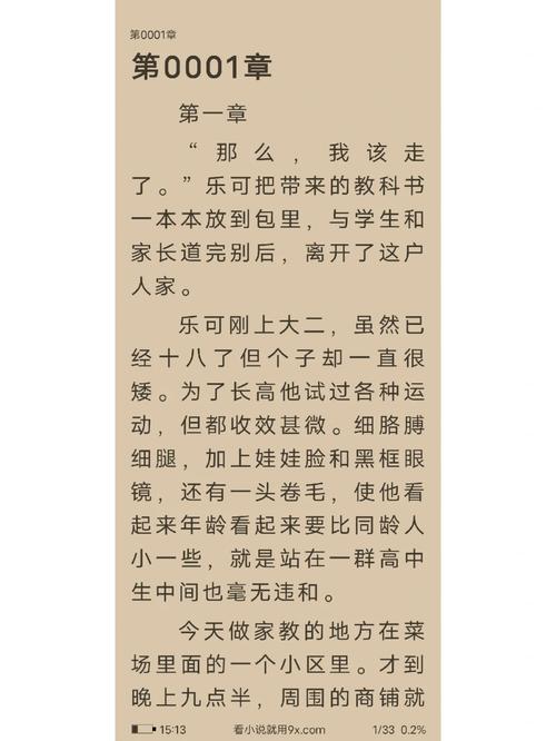 《乐可》全文+番外纯净版