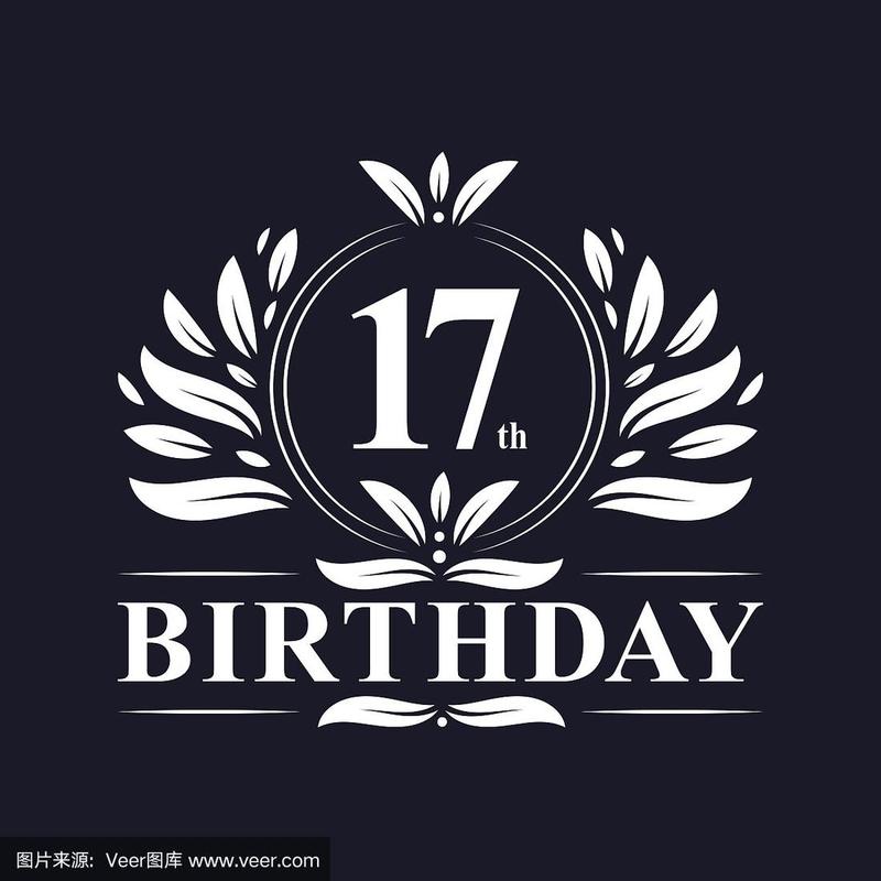 17岁破解图标