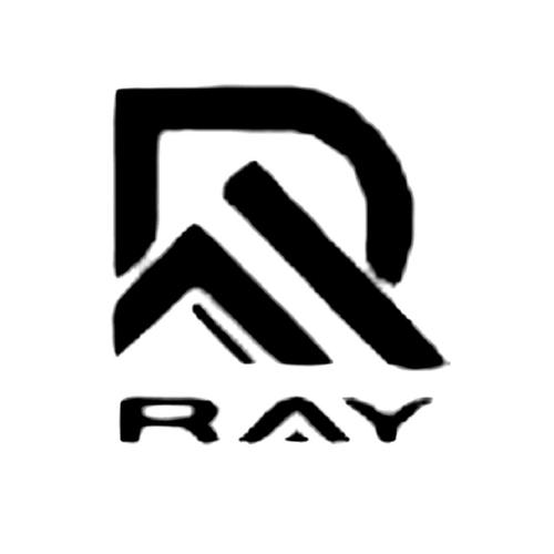 ray直装入口截图