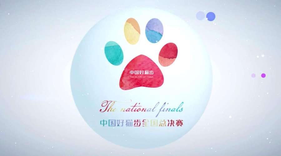 猫步运动赚钱截图
